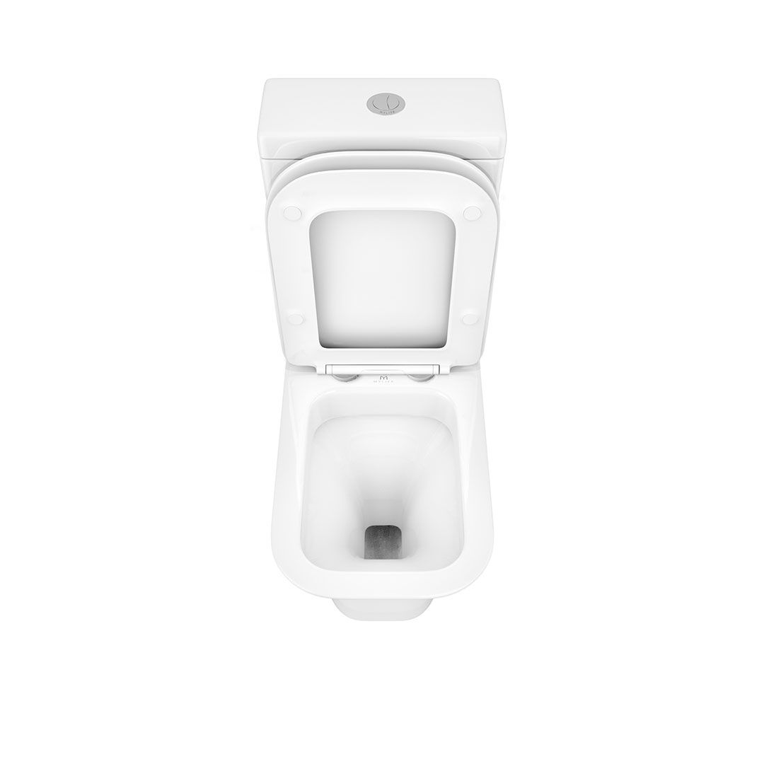 McElligotts. BRANT FULLY BTW COMFORT HEIGHT RIMLESS PAN, CISTERN AND ...